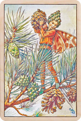 Autumn Fairies | The Flower Fairies™ | The Wooden Postcard Company ...