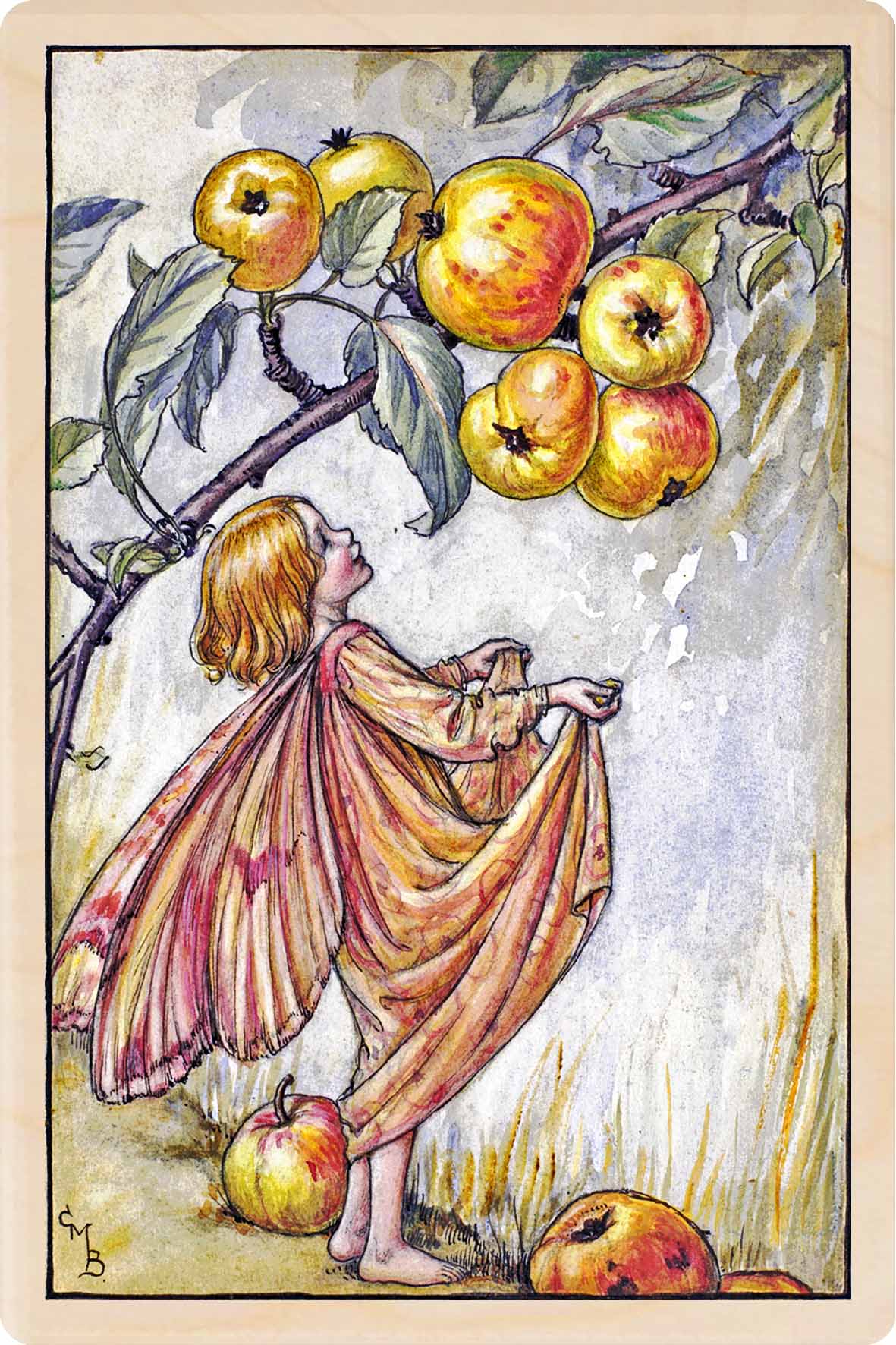Autumn Fairies | The Flower Fairies | The Wooden Postcard Company – THE ...