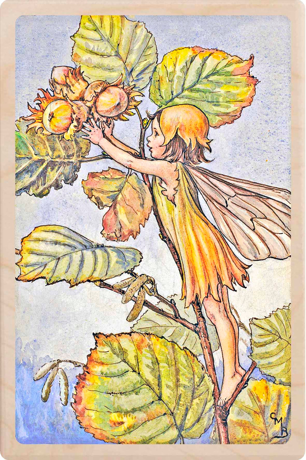 Hazelnut Fairy Wooden Postcard by Cicely Mary Barker – Made in the UK ...