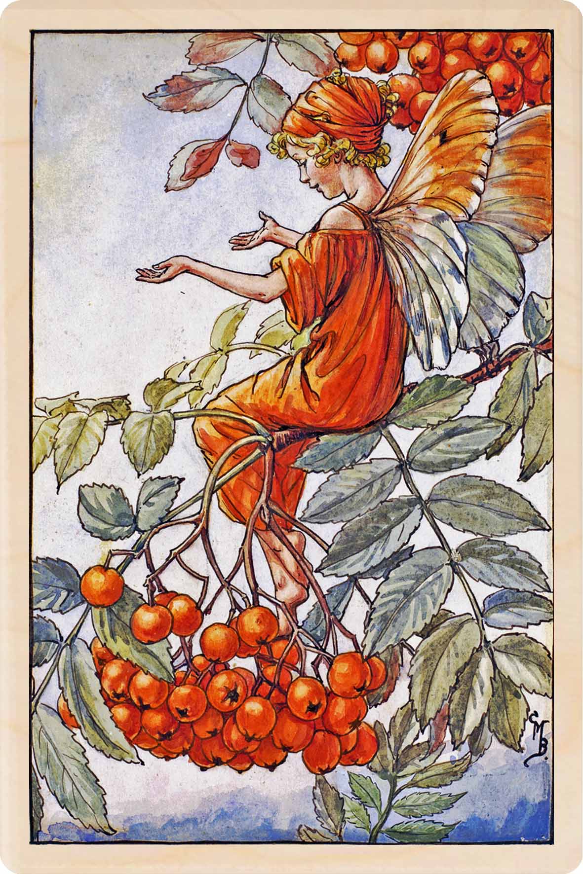 Autumn Fairies | The Flower Fairies | The Wooden Postcard Company – THE ...