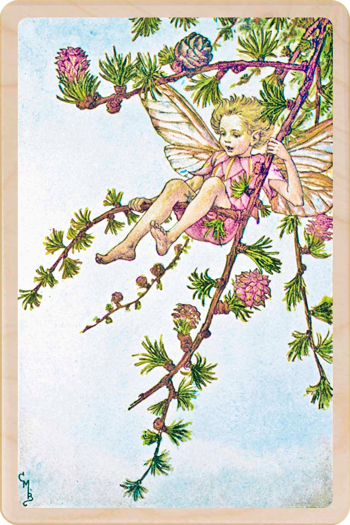 Spring Fairies | The Flower Fairies | The Wooden Postcard Company – THE ...