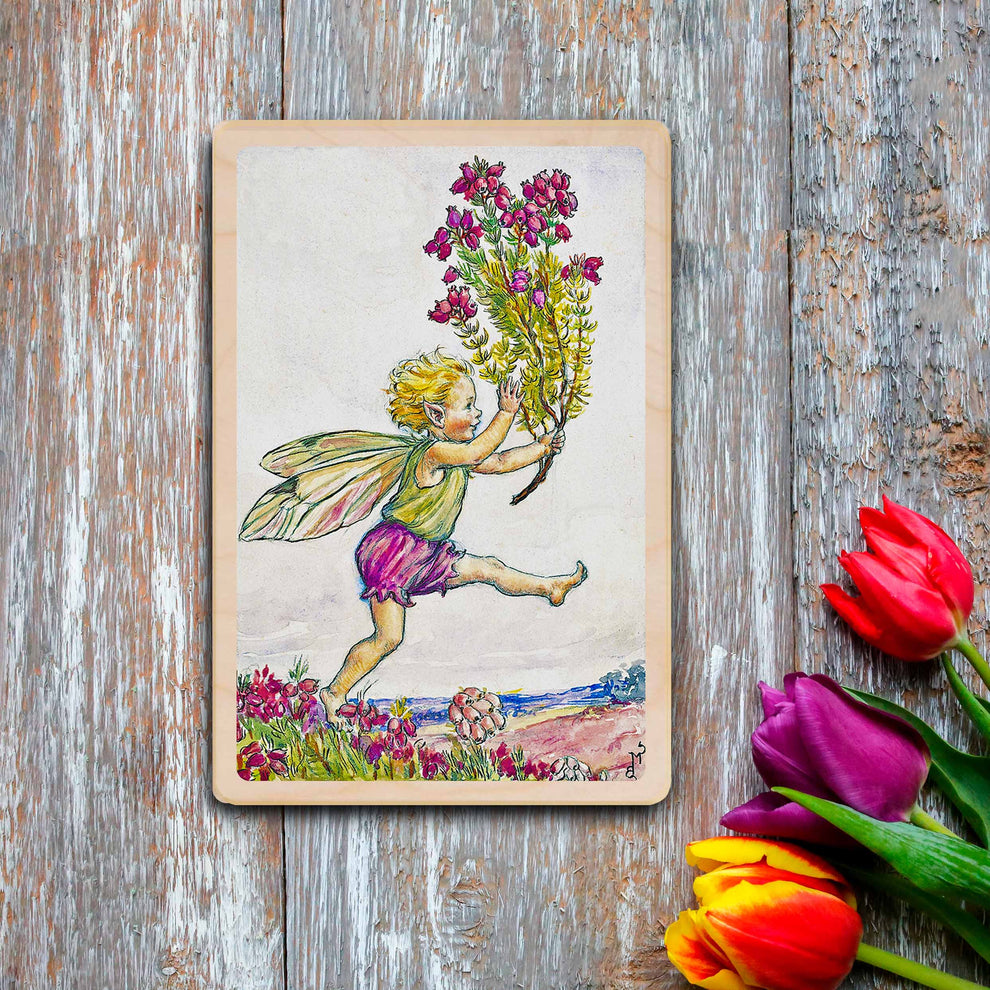 Summer Fairies | The Flower Fairies™ | The Wooden Postcard Company ...